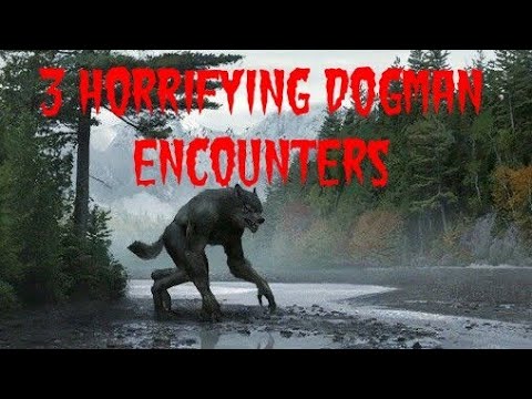 3 HORRIFYING DOGMAN ENCOUNTERS - YouTube