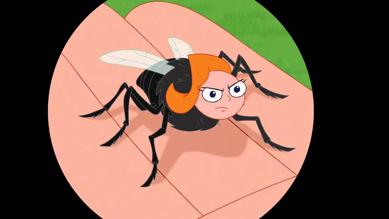 New Phineas And Ferb Season 4 Uk Preview Youtube
