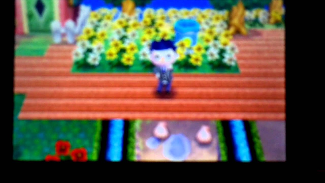 Gameplay de Animal Crossing New Leaf ACNL - YouTube