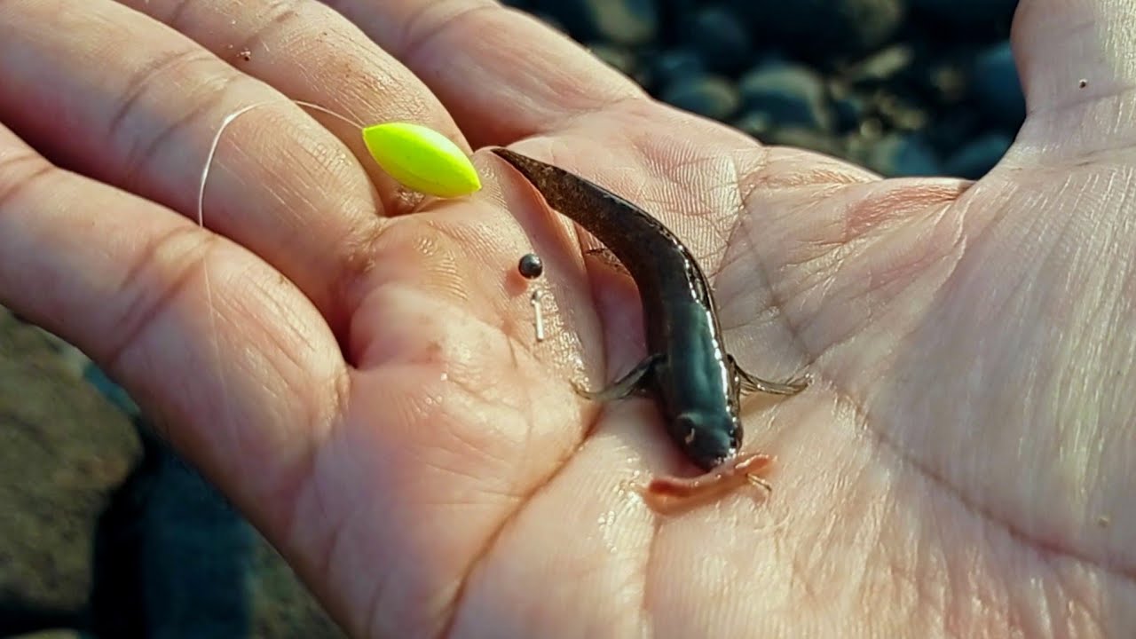 Keep It Simple, The Result Is Cool - Second Part [Micro Fishing ...