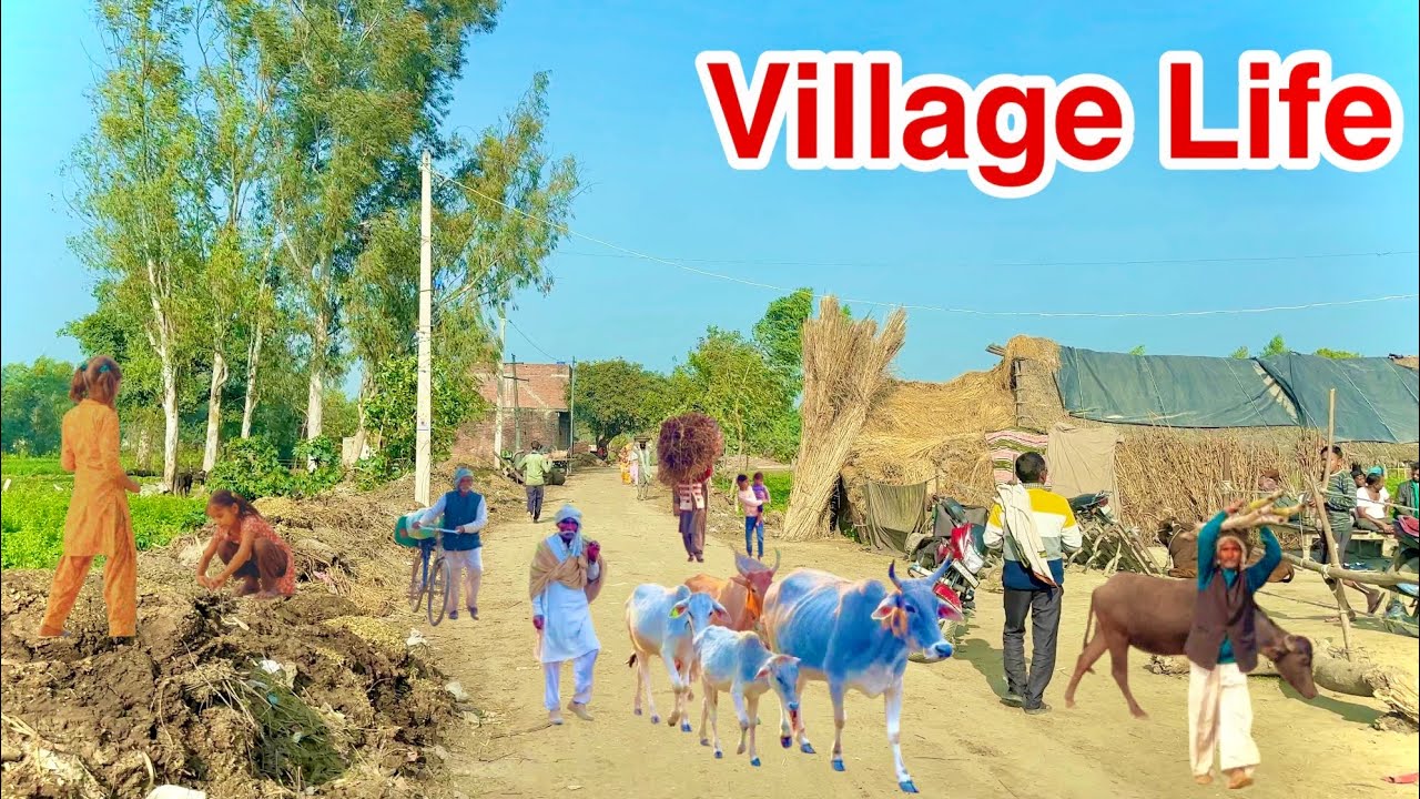 Some Undiscovered Villages Of India [] Very Poor Village In Uttar ...