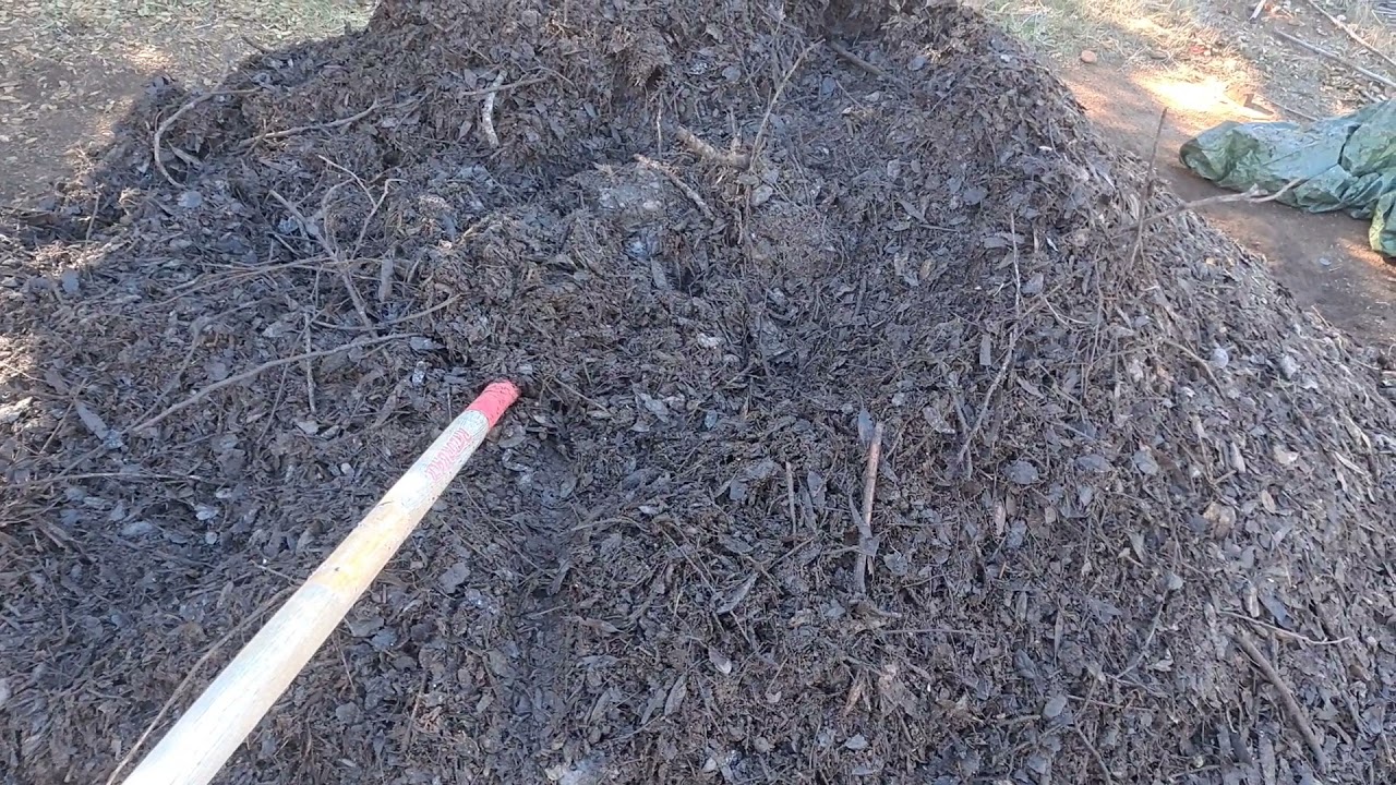 HOT COMPOSTING! STILL HOT! ALMOST 21 DAYS IN. - YouTube