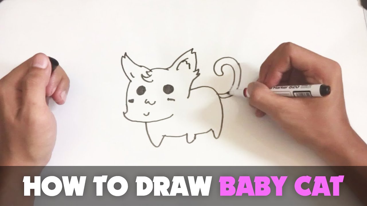How to Draw a Cartoon - Baby Cat (Tutorial Step by Step) - YouTube