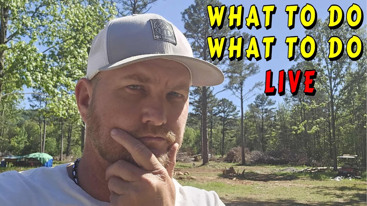 WHAT DO I DO NOW |tiny house homesteading off-grid cabin build DIY HOW ...
