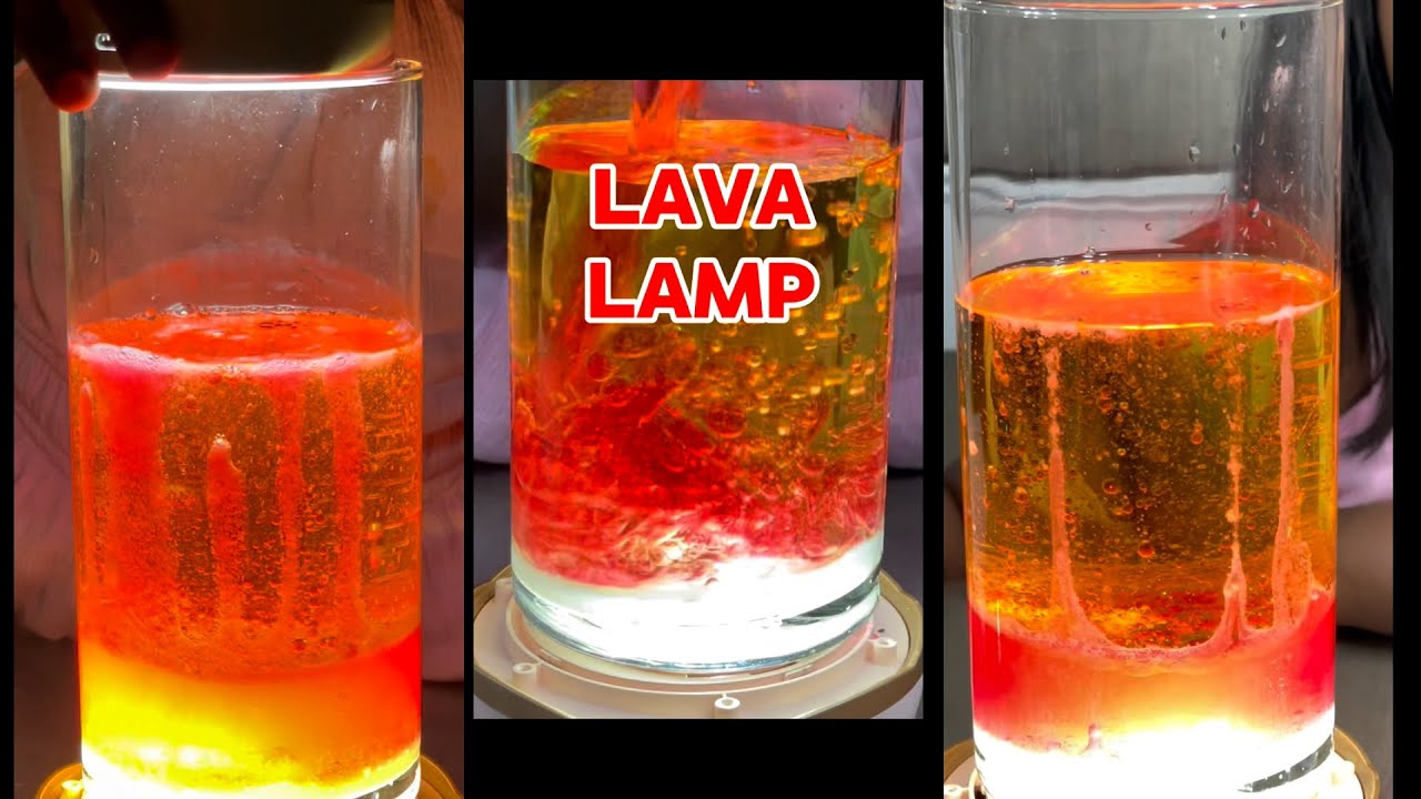 DIY Lava Lamp Experiment | Fun Science! - YouTube