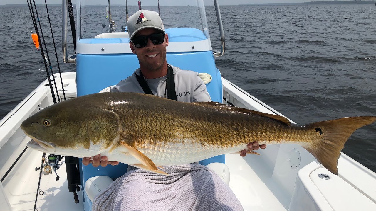 Neuse River Old Drum and Speckled Trout fishing with Capt. Dana ...