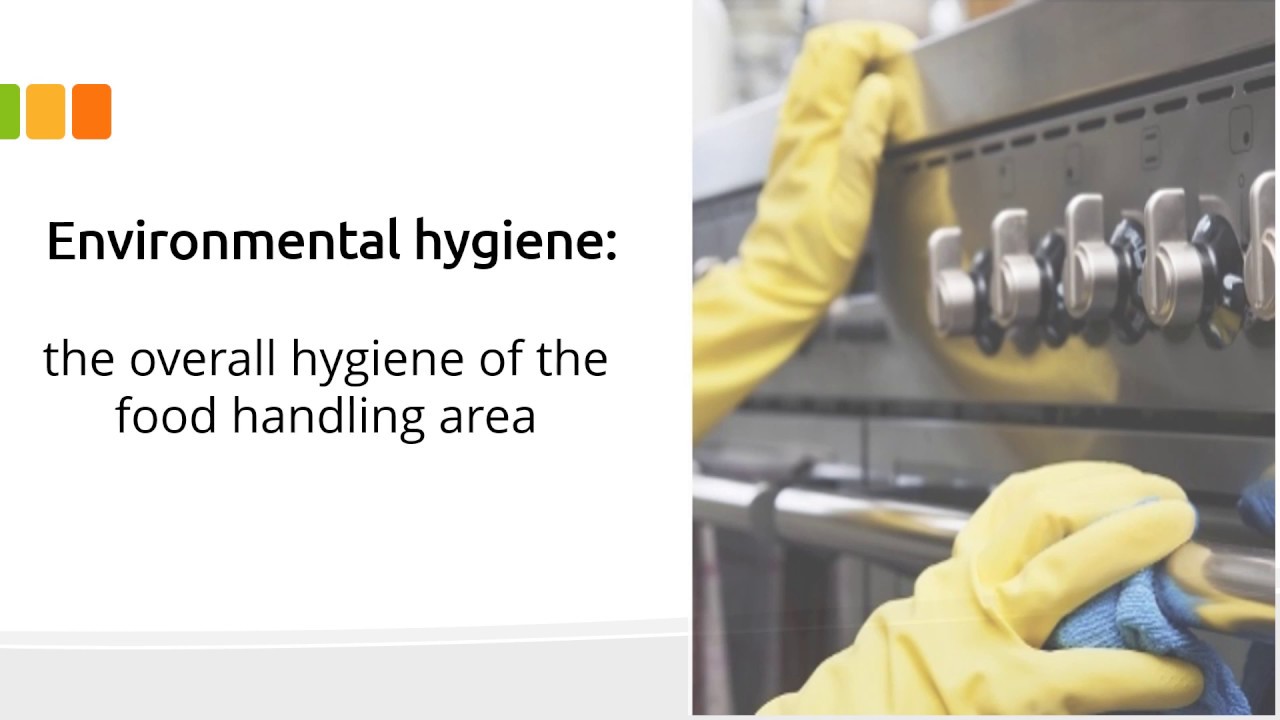 Enviromental hygiene - YouTube