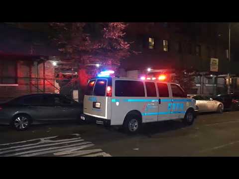 15-year-old fatally shot in Bronx apartment; no arrests