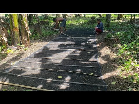 Bunsod Making /Fish Trap - YouTube