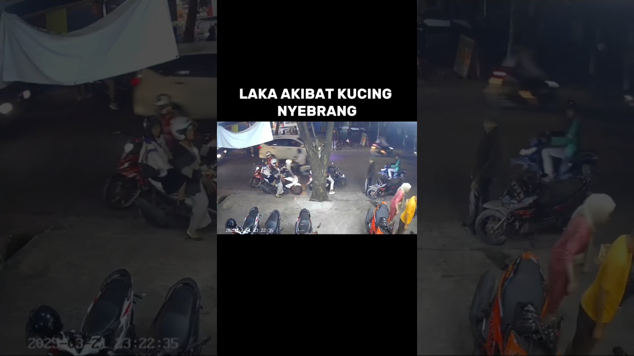 Gara gara kucing nyebrang ga nengok kiri kanan, kasihan bapaknya luka ...