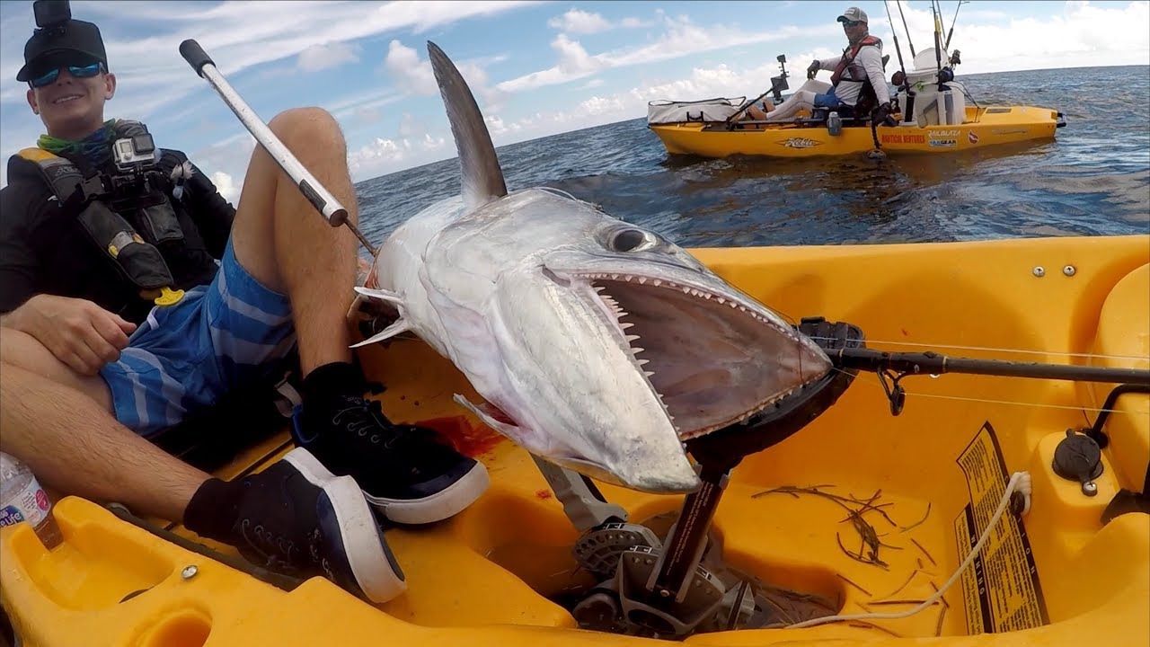 WATCH YOUR Feet With These RAZOR SHARP Teeth! GIANT King Mackerel-Deep ...