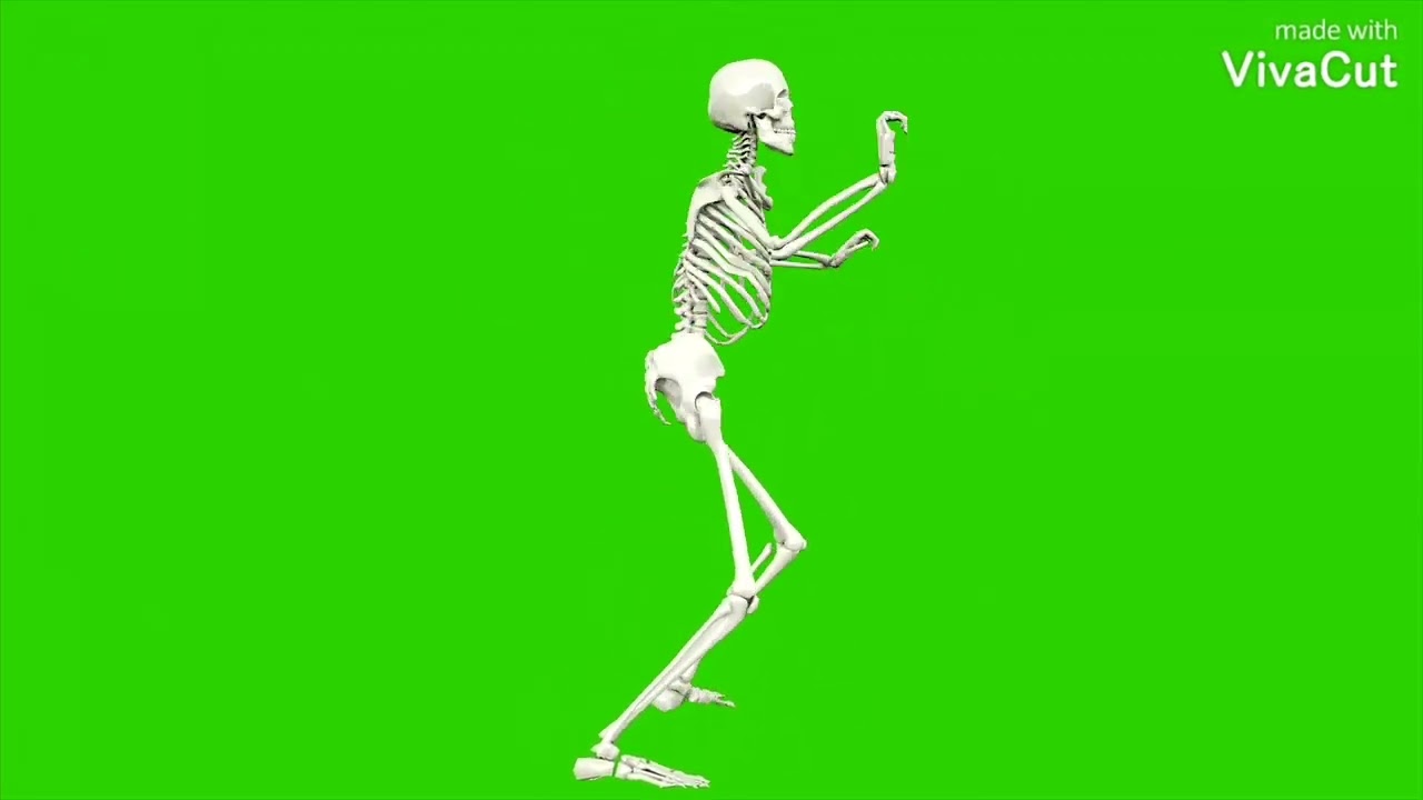 skeleton dance 😂😂😂 - YouTube