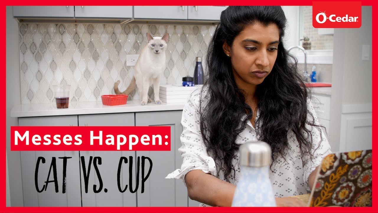 Messes Happen: Cat vs. Cup - YouTube