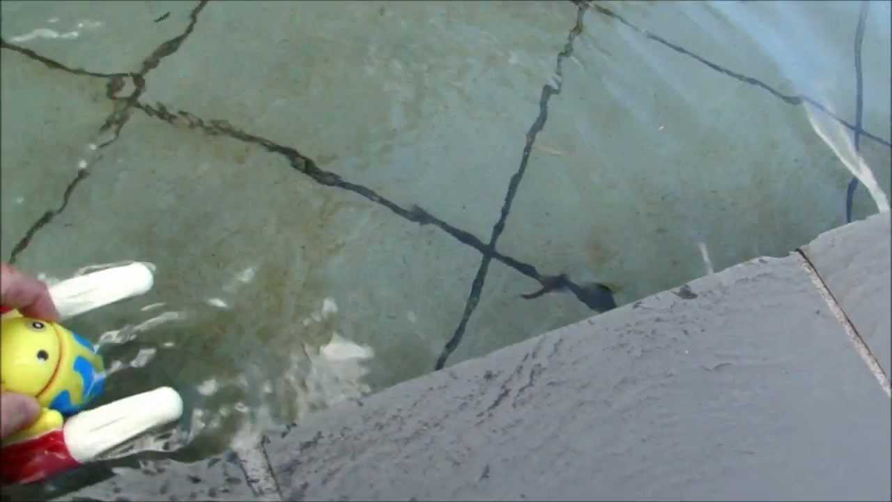 Super Octopoid - YouTube