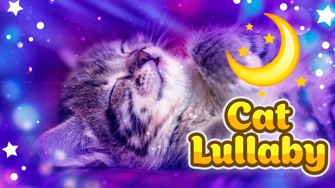 💤 Lullabies for Kittens ♬ Music for for Restless Cats - Stress Relief ...