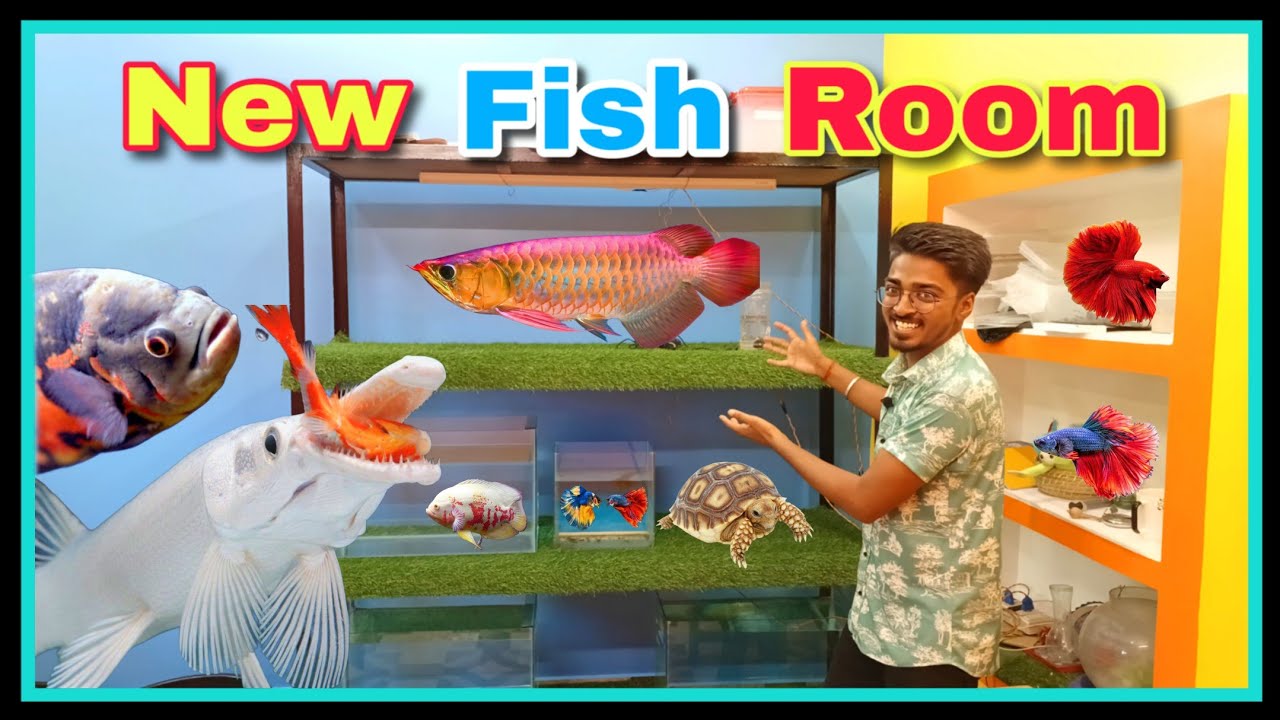 Finally Fish Room बन गया 🤩🤩 | Future Project Monster Fish, Oscar ...