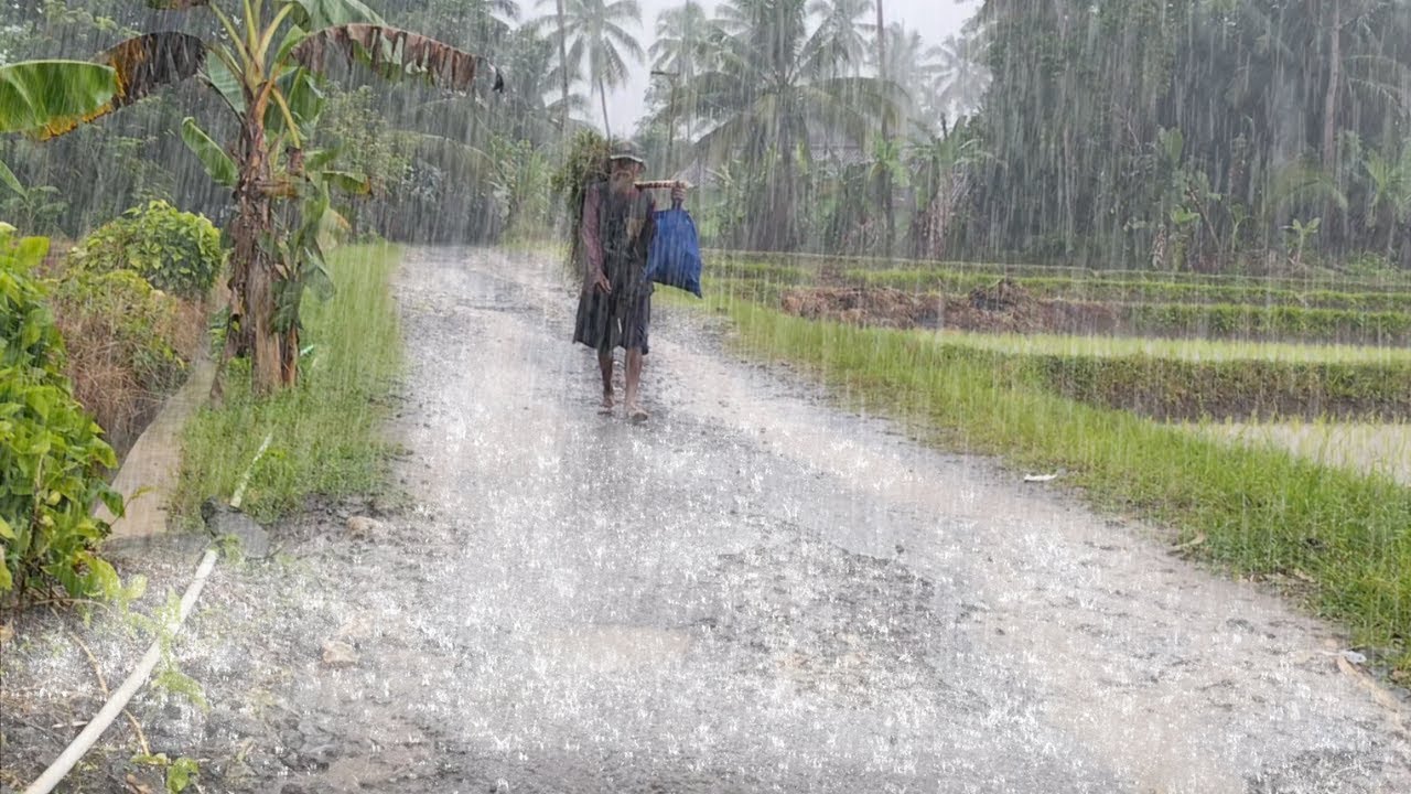 Super Heavy Big Rainy, Very Beautiful & Very Cold | Perfect for ...