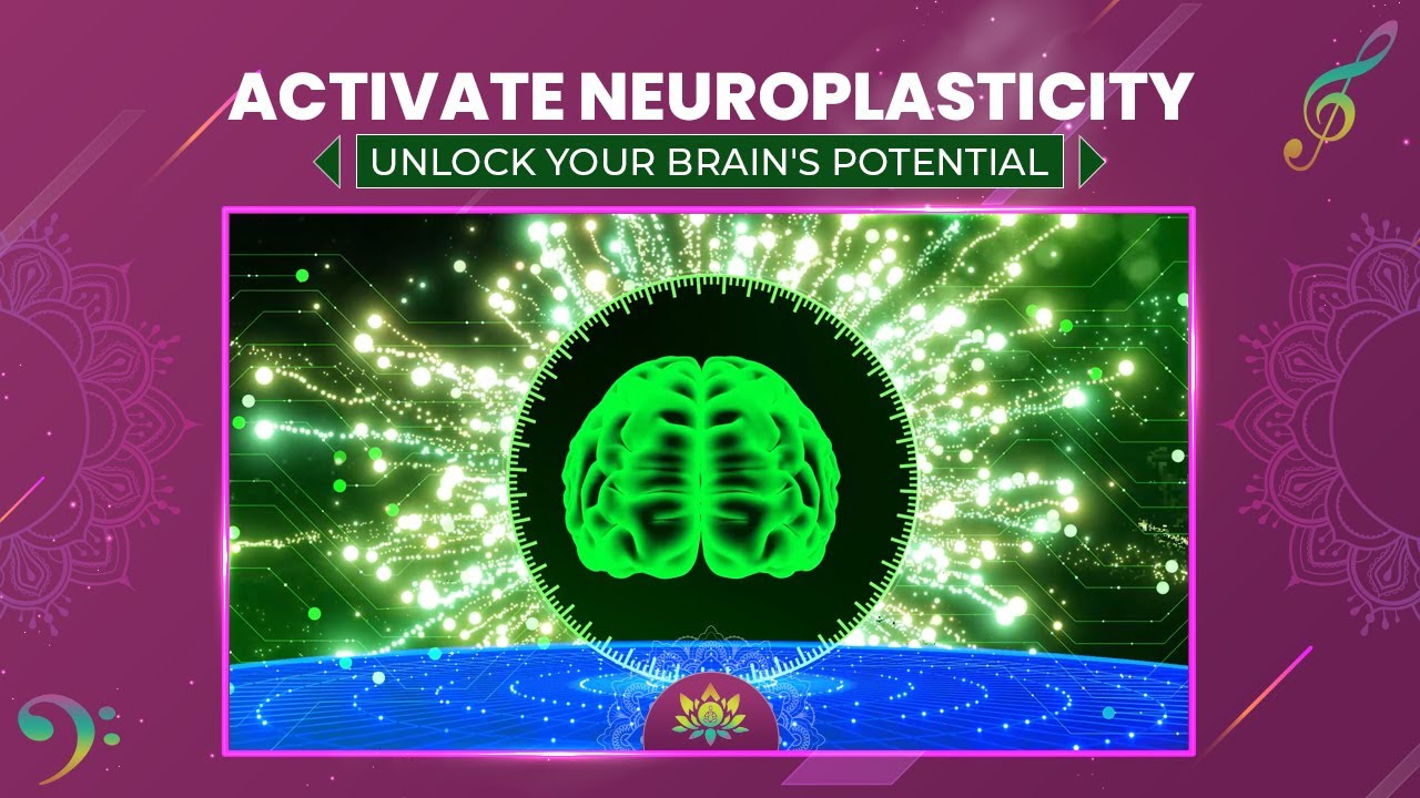 Activate Neuroplasticity For Cognitive Growth - Unlock Your Brain's ...