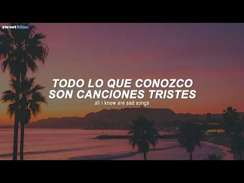 Mike Posner - I Took A Pill In Ibiza (Seeb Remix) | Sub. Español + Lyrics