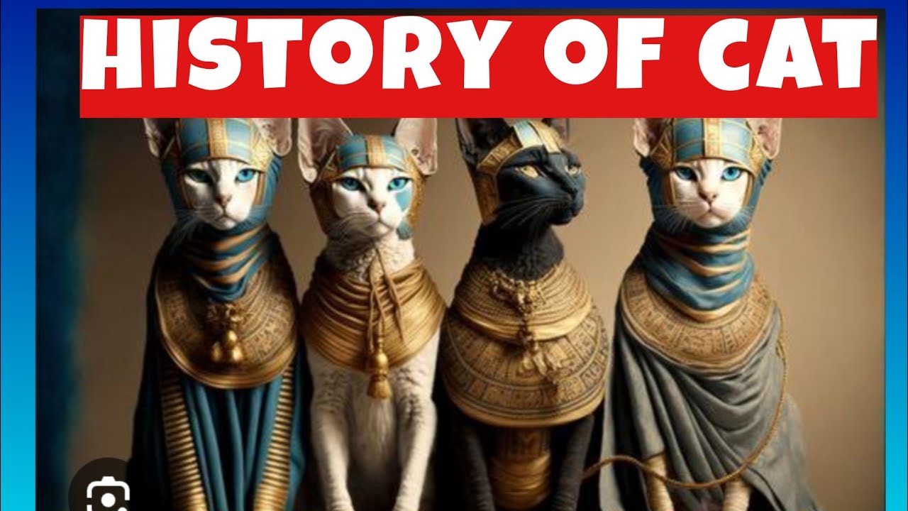 HISTORY OF CAT | Origin of Cat - YouTube