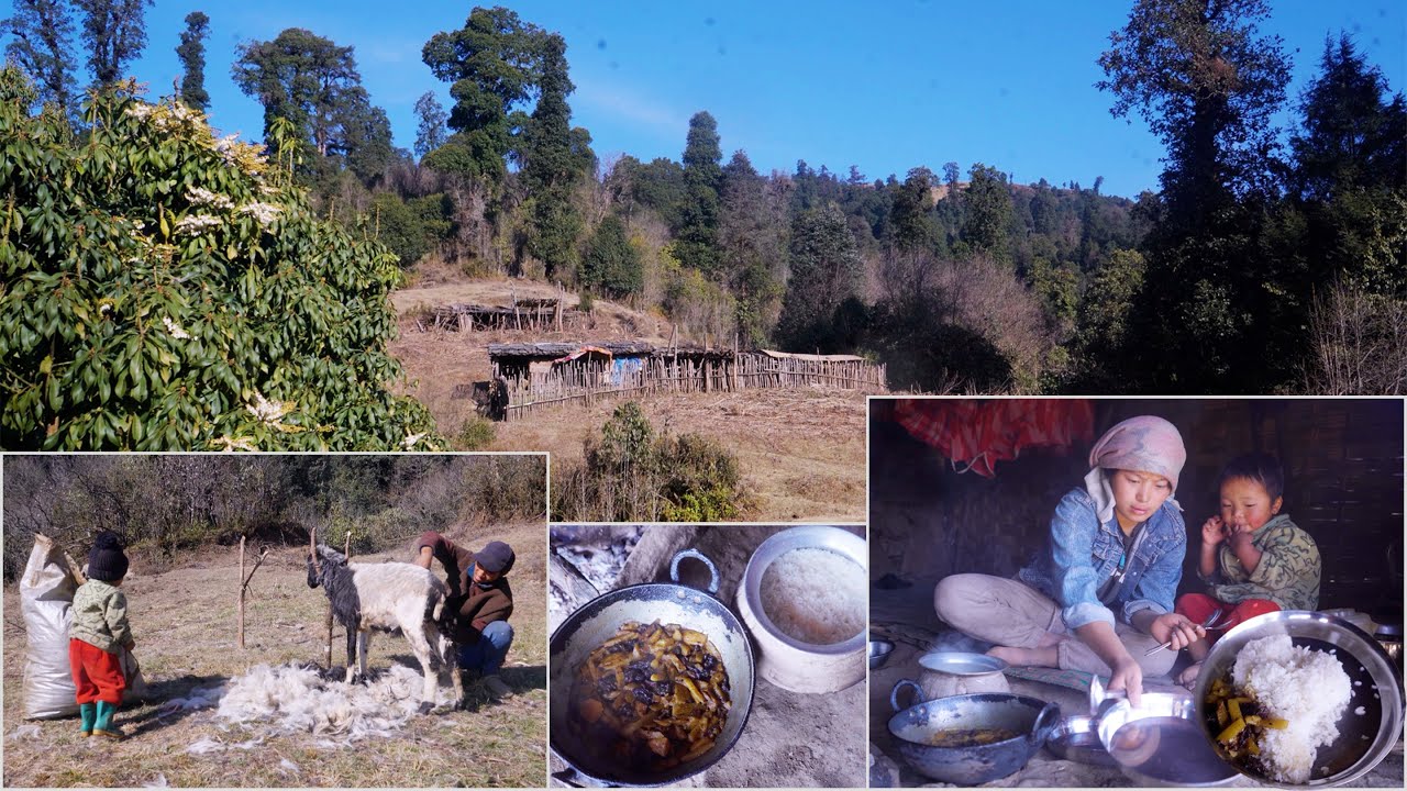 Manjita's Himalayan buff curry in lunch || shepherd life of Nepal ...
