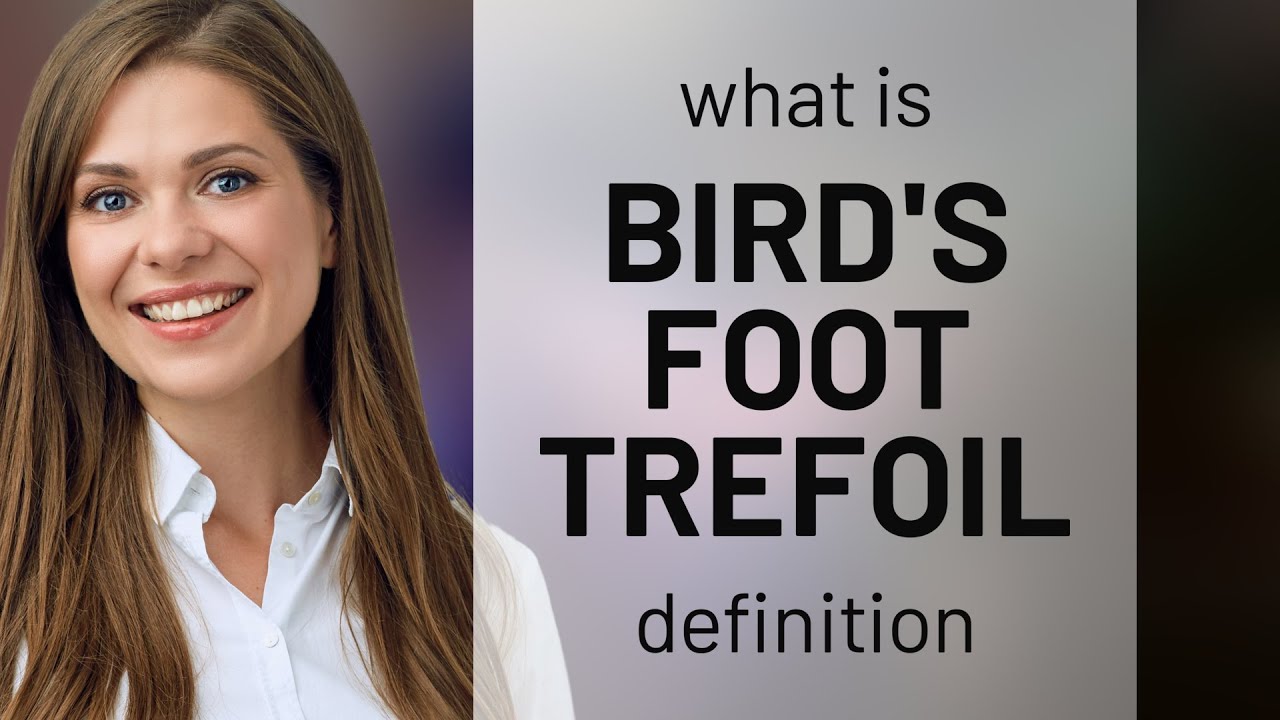 Bird's foot trefoil | what is BIRD'S FOOT TREFOIL definition - YouTube