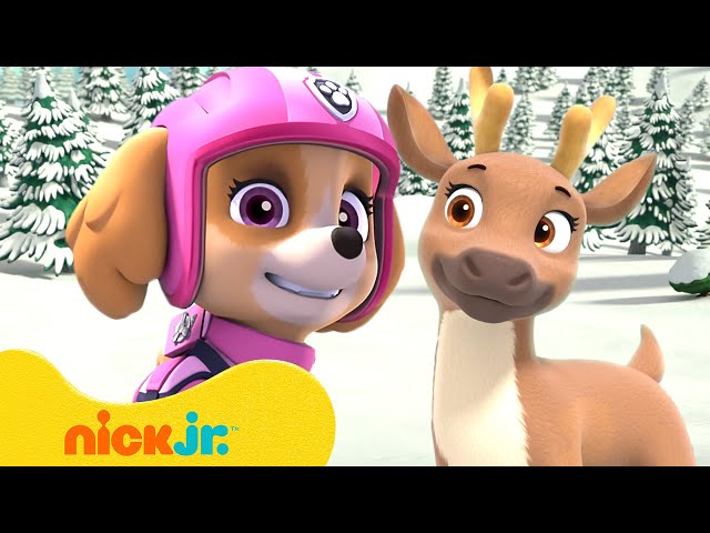 PAW Patrol Rescue Baby Animals in the Snow! ️🦌🐰 | 10 Minutes | Nick Jr ...