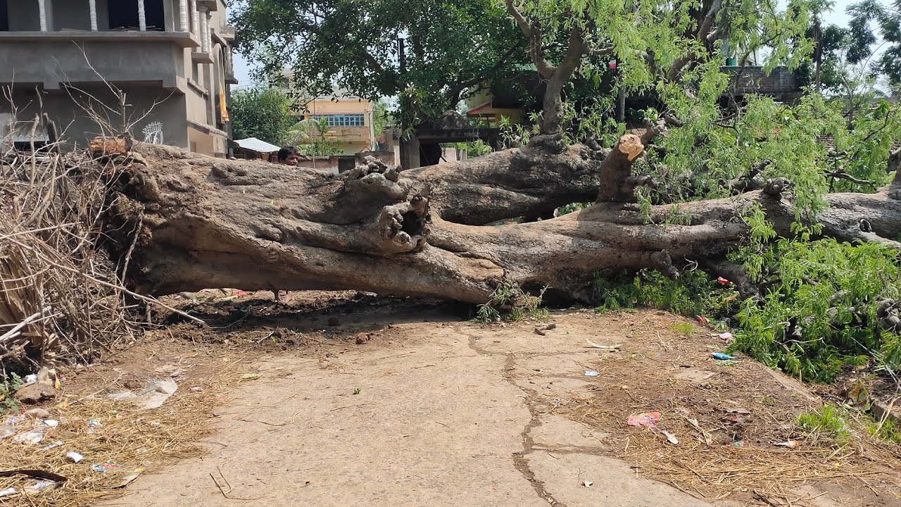 , Bajitpur main Rasta Banda #@adsound4u - YouTube