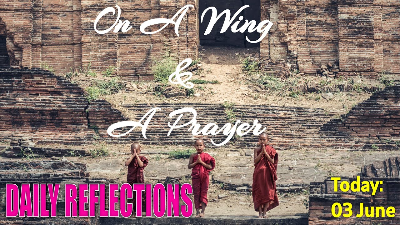 AA Daily Reflections. Today 03 June - YouTube