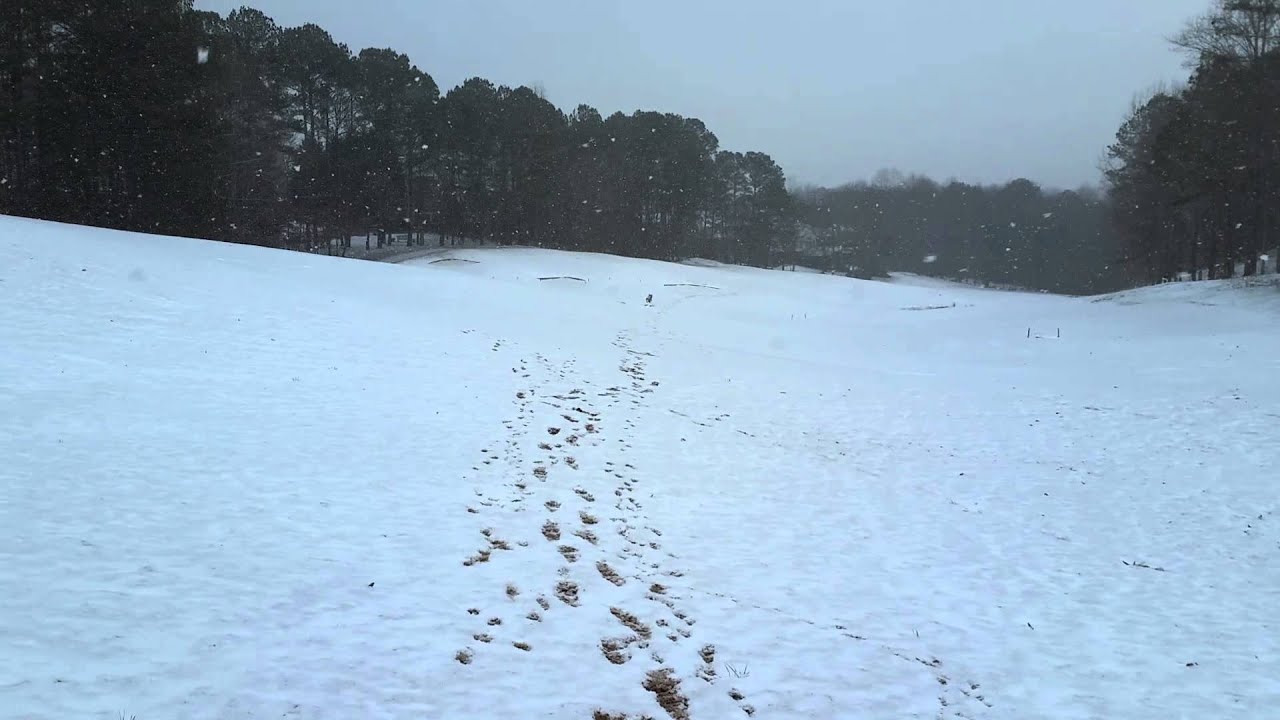 Mini-blizzard in Atlanta - YouTube
