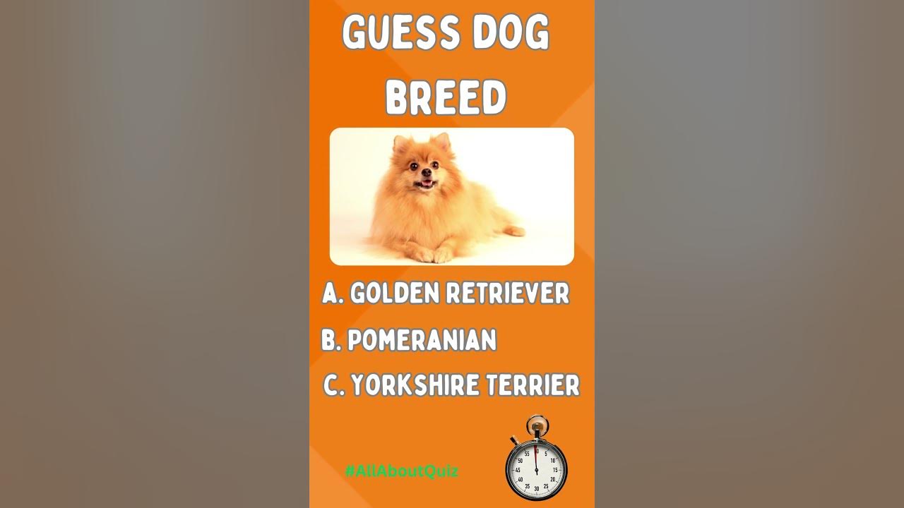 🐩🐾 Ultimate Dog Breed Guessing Game! 🐶🤔 #GuessTheDog #DogBreedChallenge ...