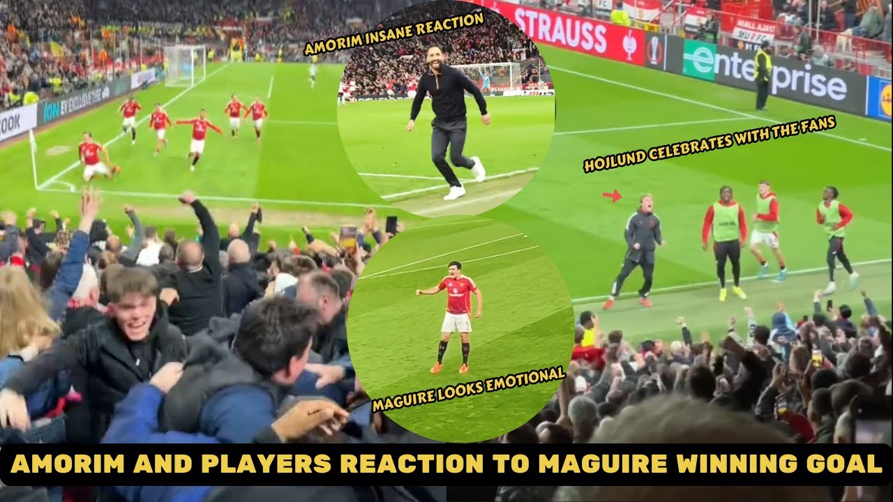 Ruben Amorim and players emotional celebration to Harry Maguire winning ...
