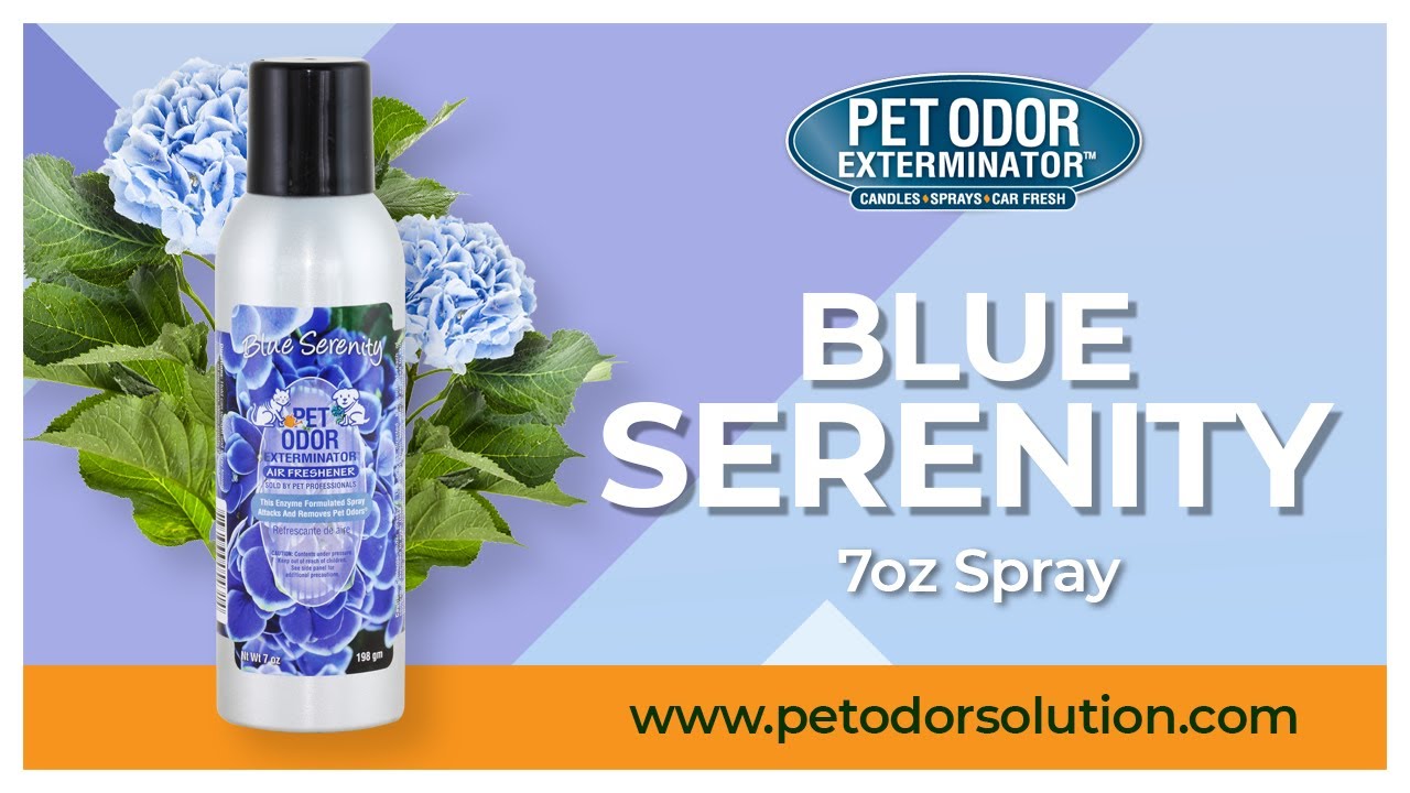 Find your inner serenity and get rid of unwanted odors with the Blue ...