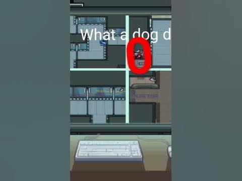 among us CHEATER cought - YouTube