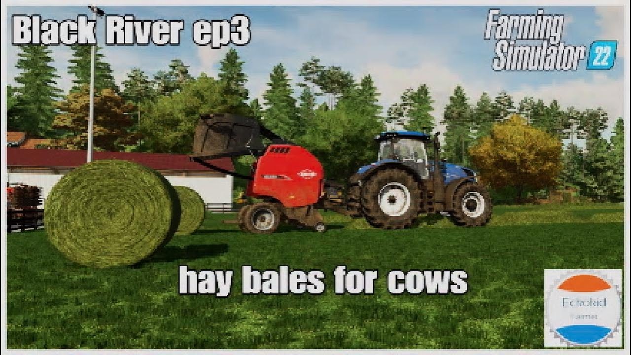 STOCKING COW FOOD UP Black River ep3 Farming Simulator 22 - YouTube