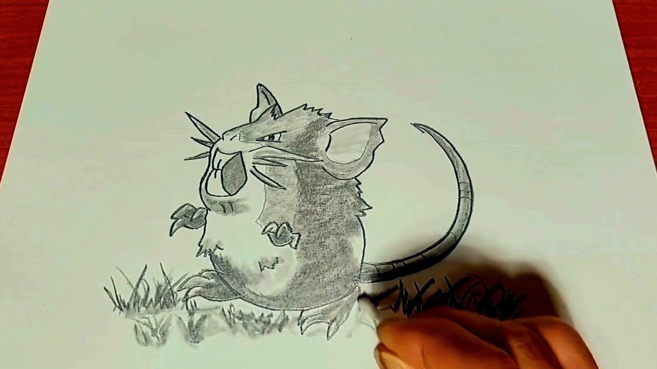 Pokemon Raticate drawing - YouTube
