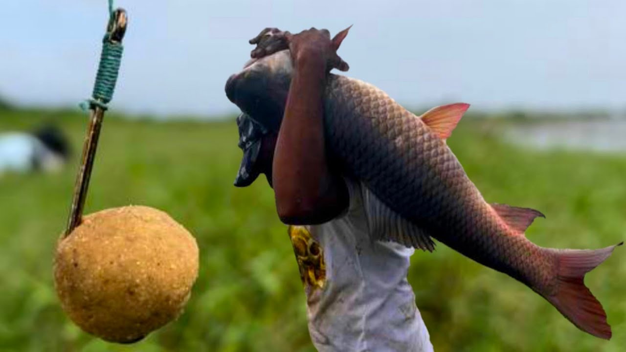 Fishing | Hook Fishing | Fishing Videos | How To Float Fishing ...