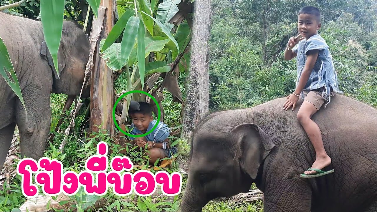 น้องจูเนียร์เล่นซ่อนแอบ กับควาญคนใหม่ | Junior is playing hide and seek ...