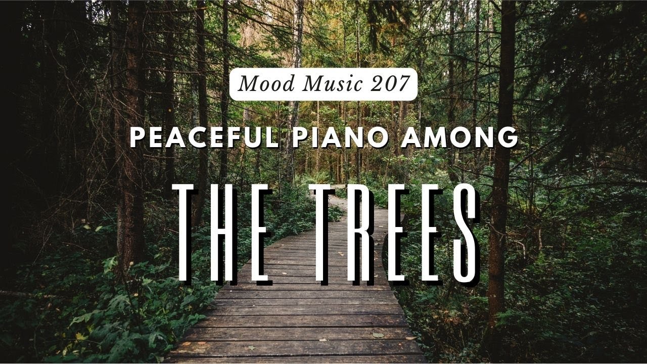 Peaceful Piano Among the Trees: Relaxing Music, Nature Sounds, Stress ...