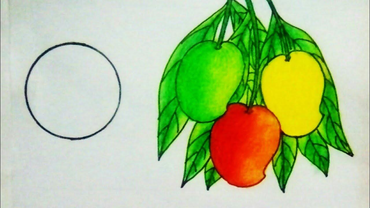how to draw a bunch of mangoes l mango drawing l আমের থোকা আঁকা l আম ...