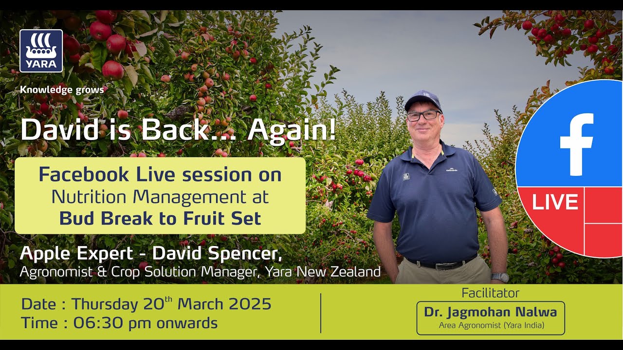 Nutrition Management at Bud Break to Fruit Set - YouTube