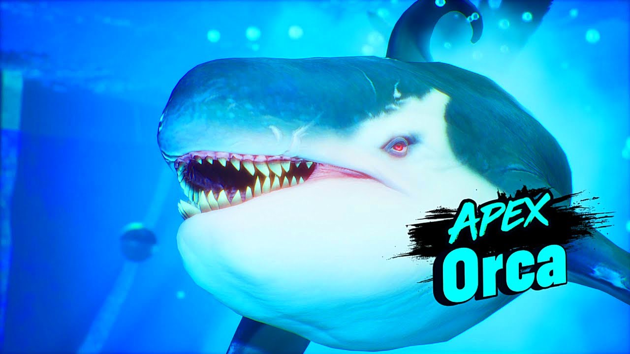 Shark Vs Apex Orca Whale Fight (Maneater PS4 Gameplay) - YouTube