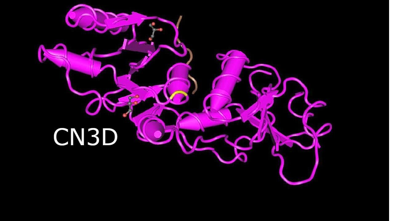 How we can use CN3D - YouTube