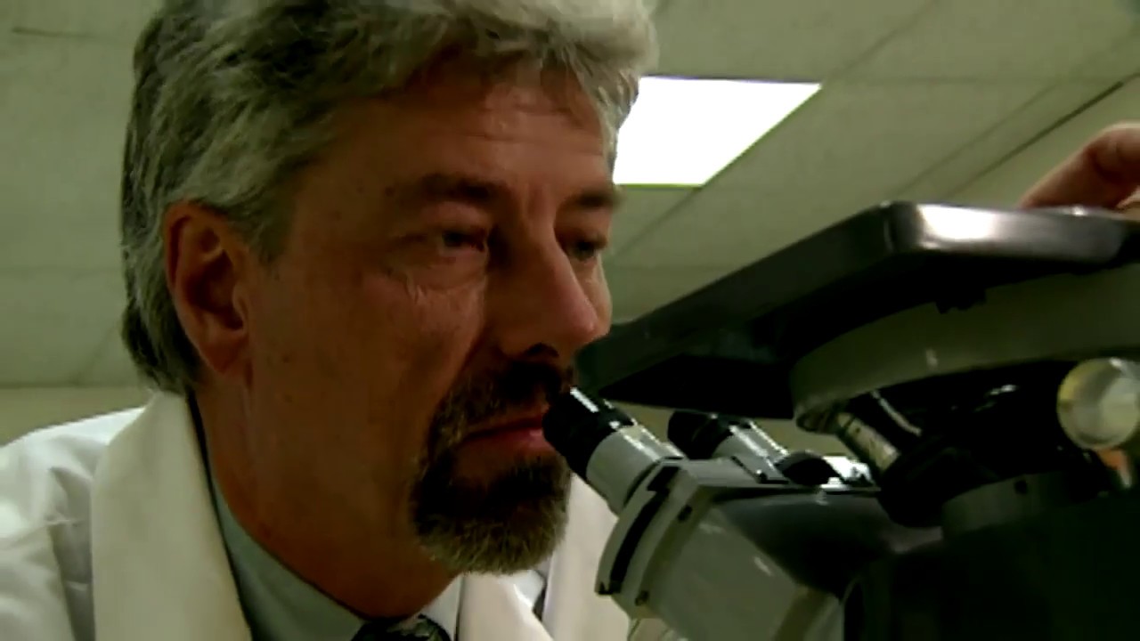 Dr Wentz Under the Microscope | USANA Video - YouTube