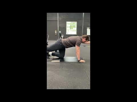Bird Dogs / Pointers: Core Exercise. #lowbackpain #sportrehab #physiotherapy #chiropractic - YouTube
