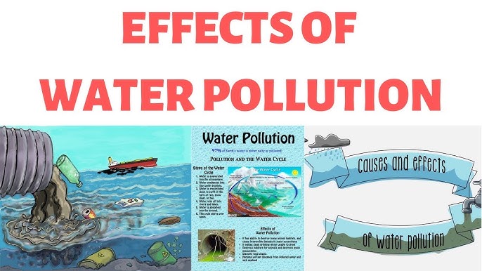 Effects Of Water Pollution On Human Health