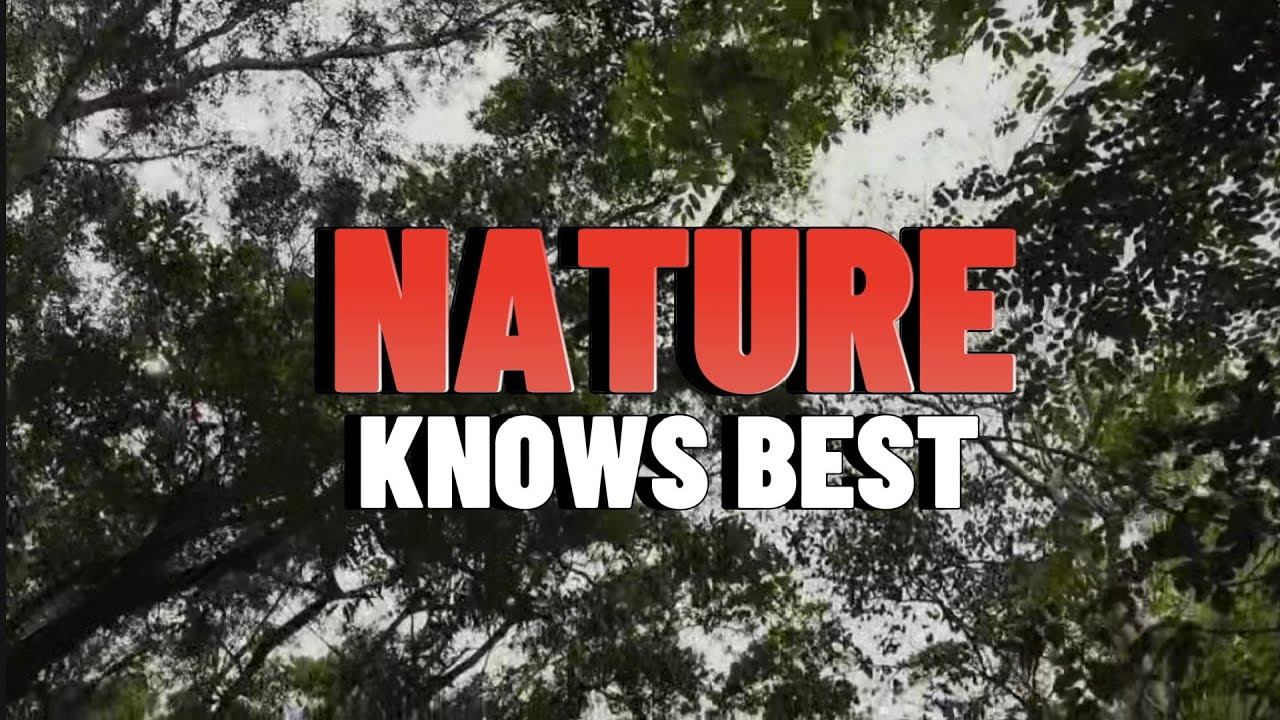 ENVIRONMENTAL PRINCIPLE: NATURE KNOWS BEST🌍 - YouTube