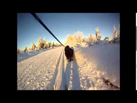 Skiing at Budor - YouTube