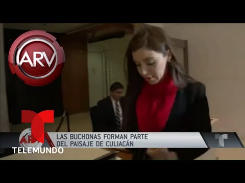 La vida exhorbitante y peligrosa de las buchonas | Al Rojo Vivo | Telemundo