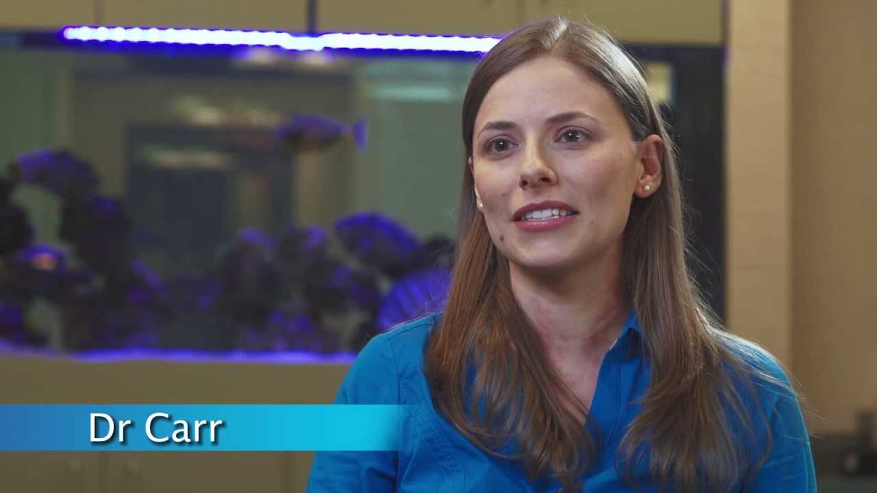 Dr. Carr Testimonial - YouTube